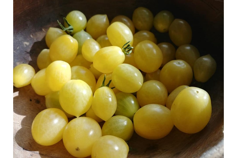 Barry's Crazy Cherry